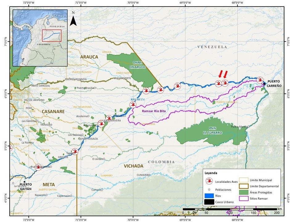 Observaciones de aves especialistas de hábitats fluviales en el río ...
